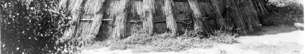 Indigenous People of the Trinity Basin | North Texas Master Naturalist